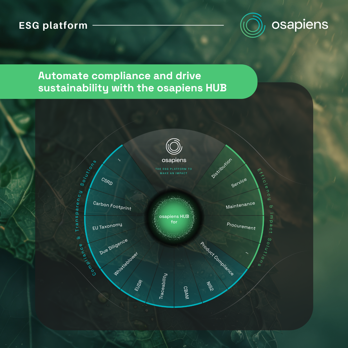 How the osapiens HUB Makes Compliance a Growth Opportunity | osapiens